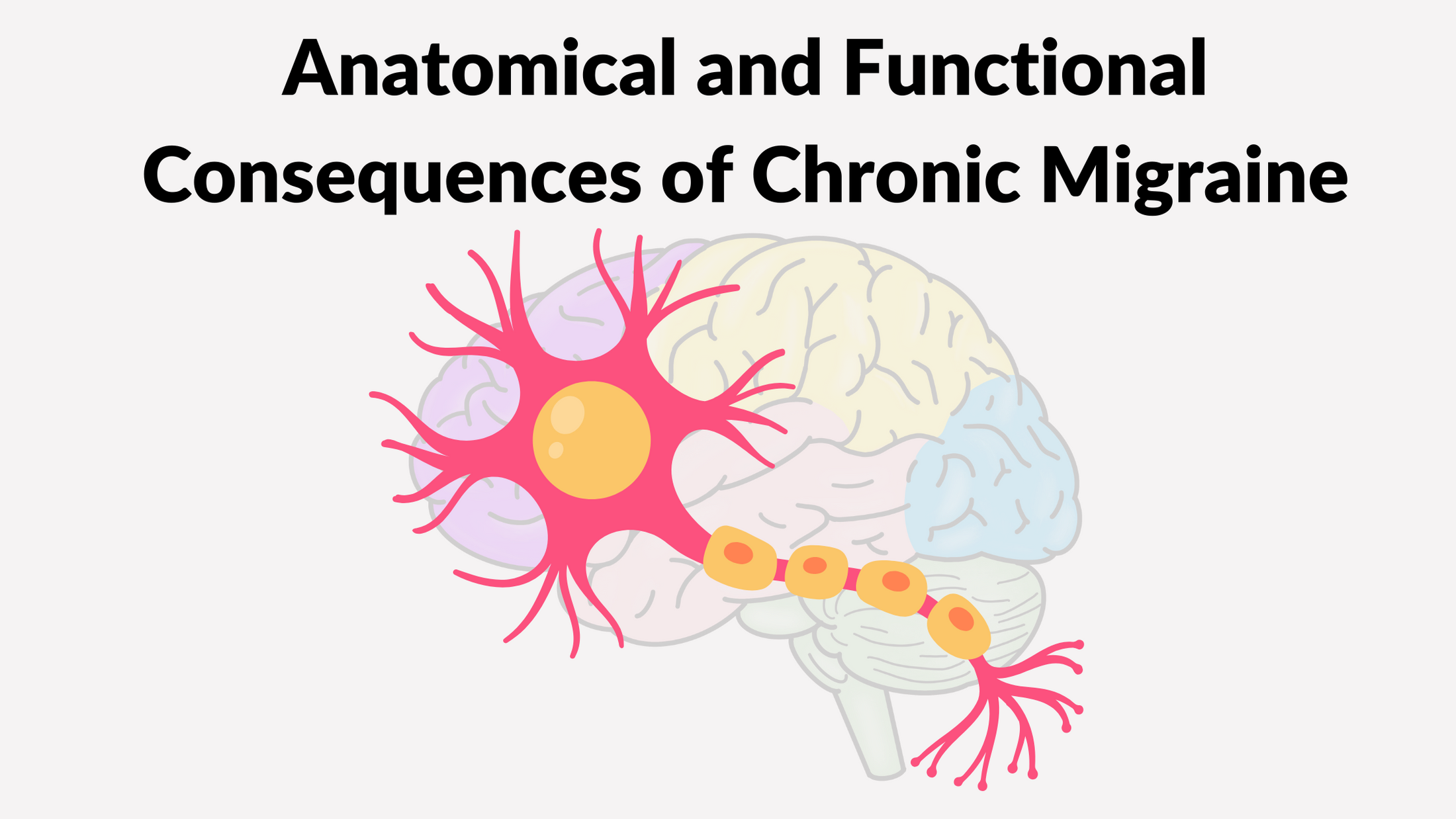 Anatomical and Functional Consequences of Chronic Migraine – Cerebral ...