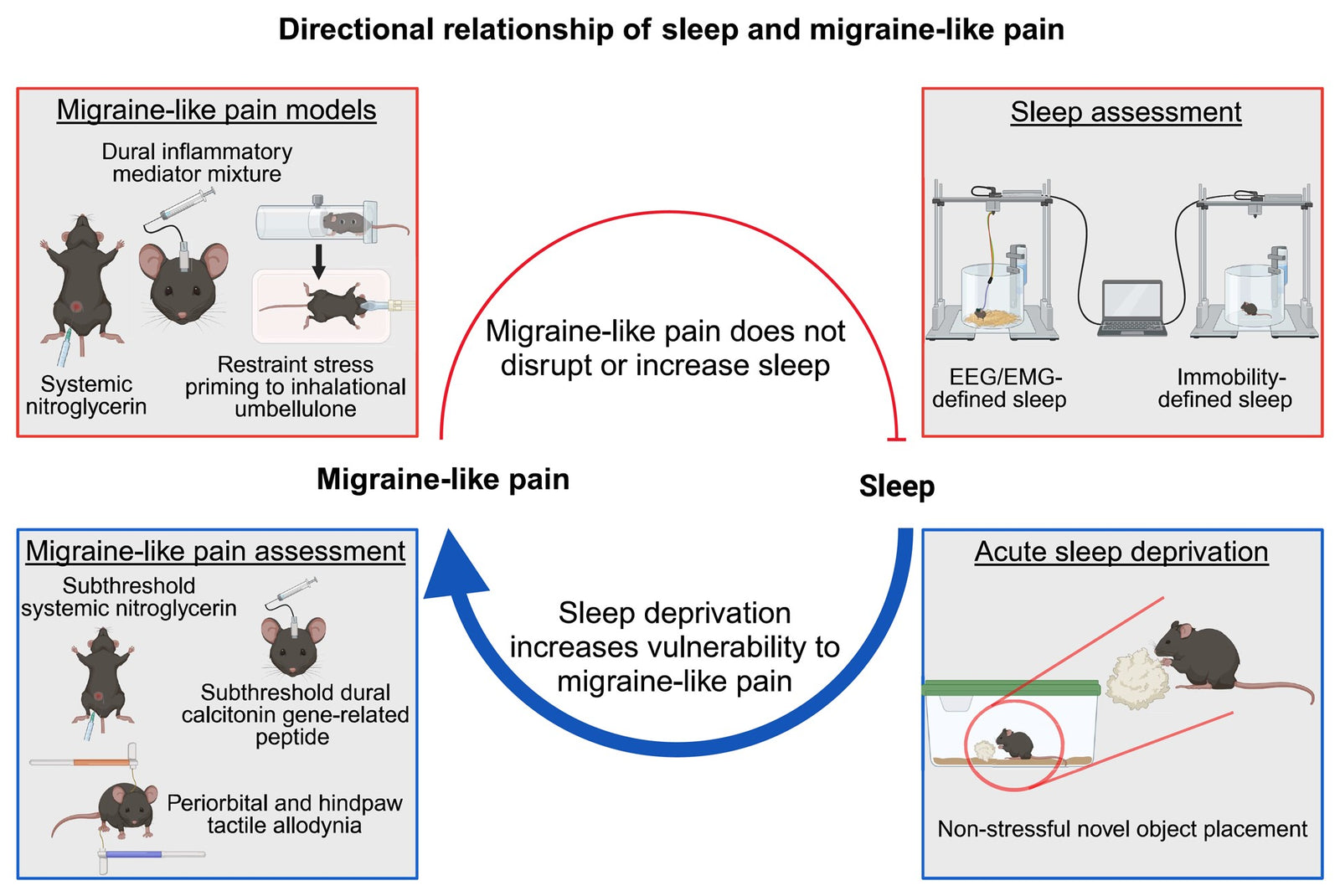New Study Unravels the Complex Relationship Between Migraine and Sleep – Cerebral Torque