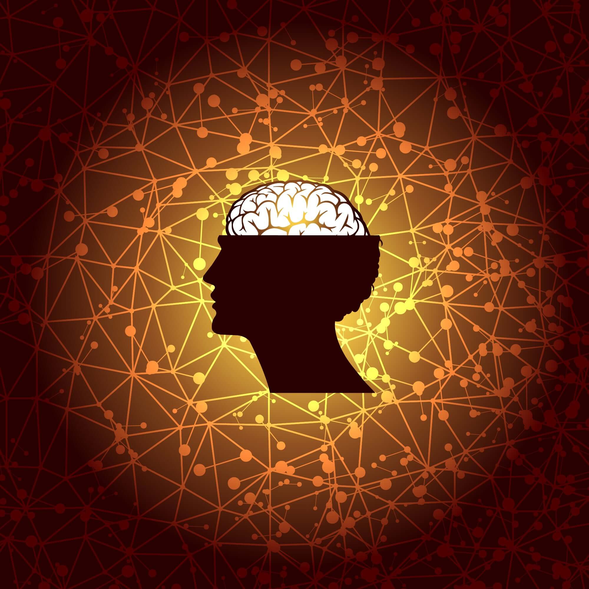 About Us – Cerebral Torque